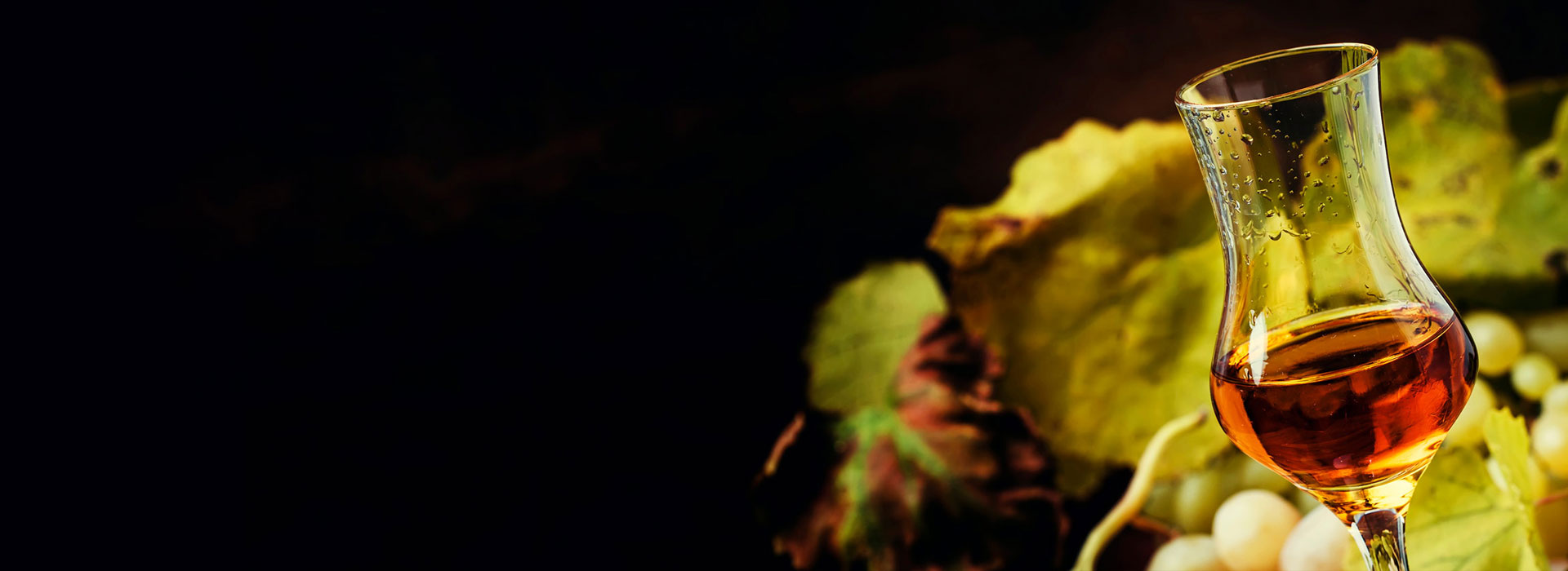 Ihr Grappa Onlineshop seit 1998 mit 1.000 Spirituosen