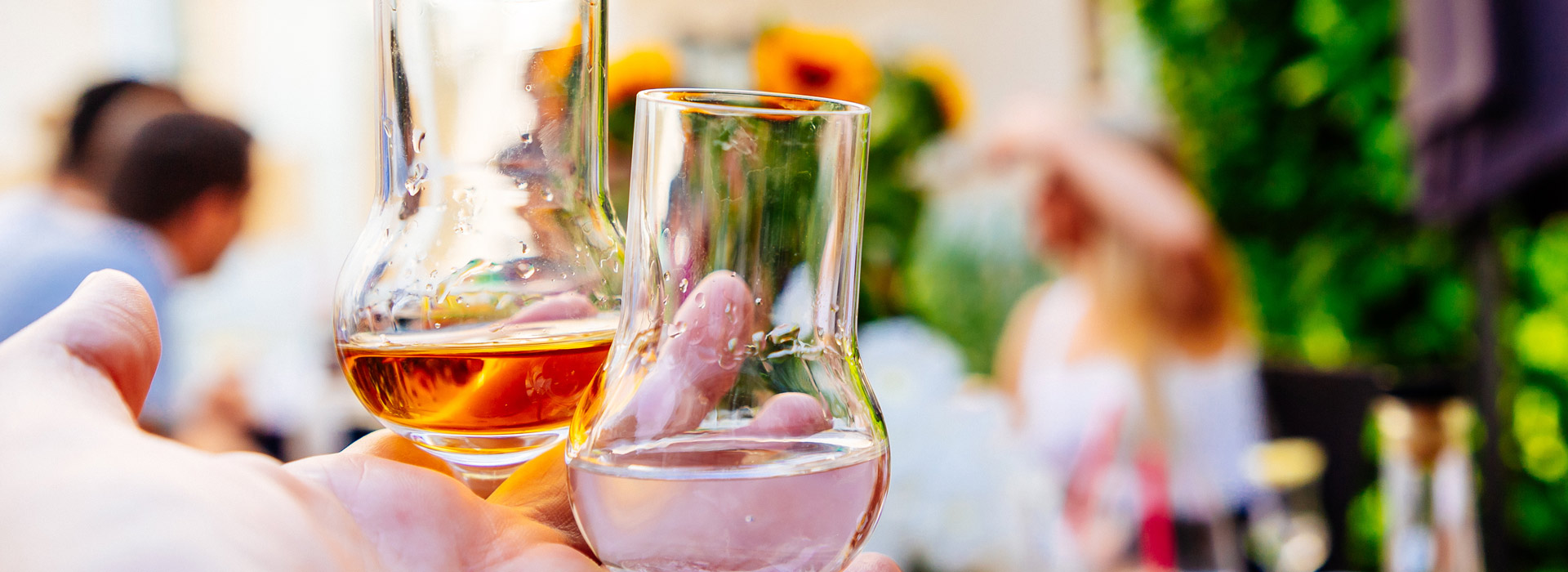 Ihr Grappa Onlineshop seit 1998 mit 1.000 Spirituosen